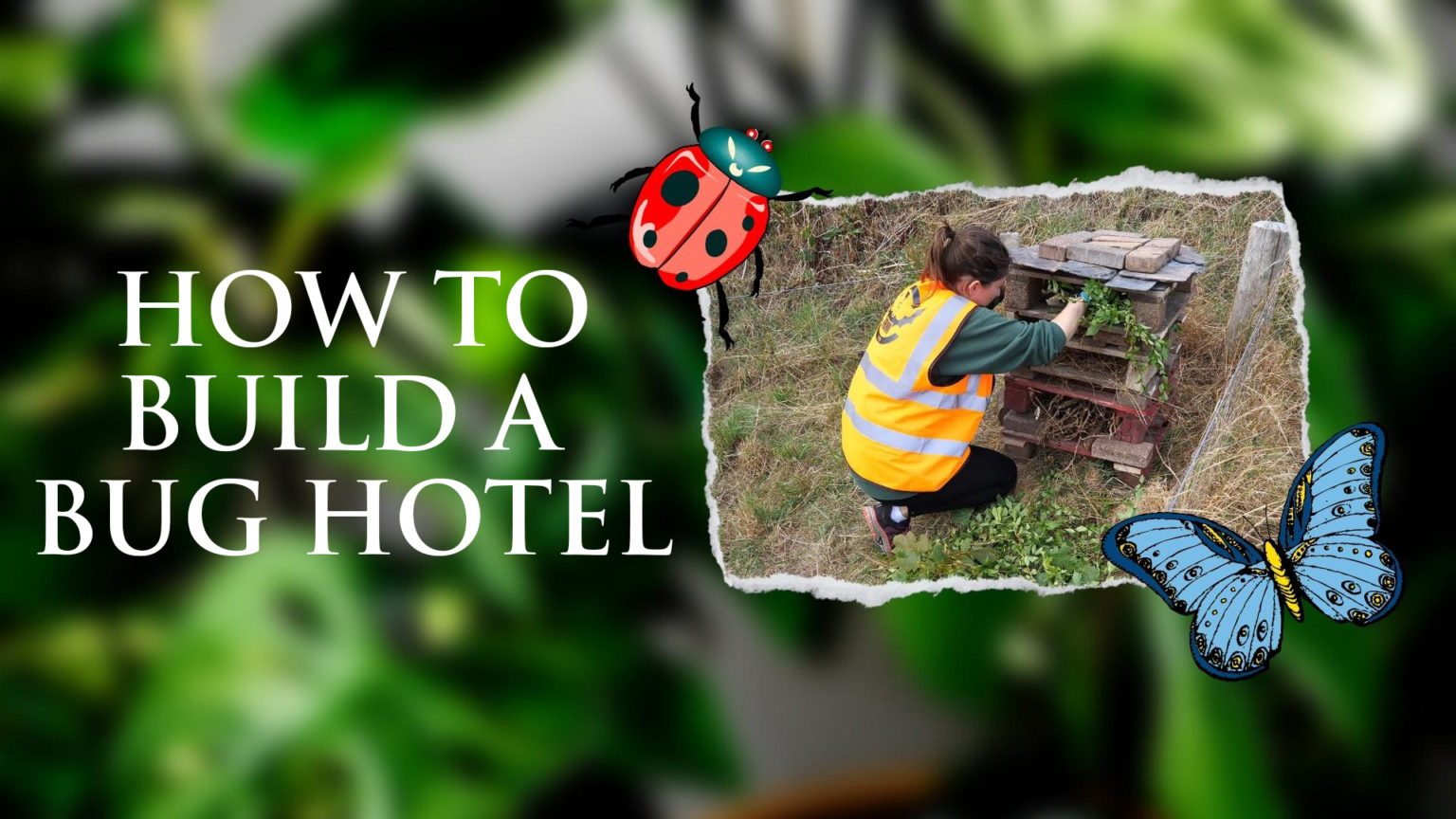 How To Build A Bug Hotel