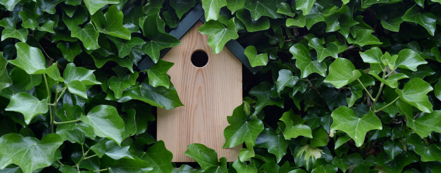 Boosting Biodiversity in Your Garden: Bird Boxes