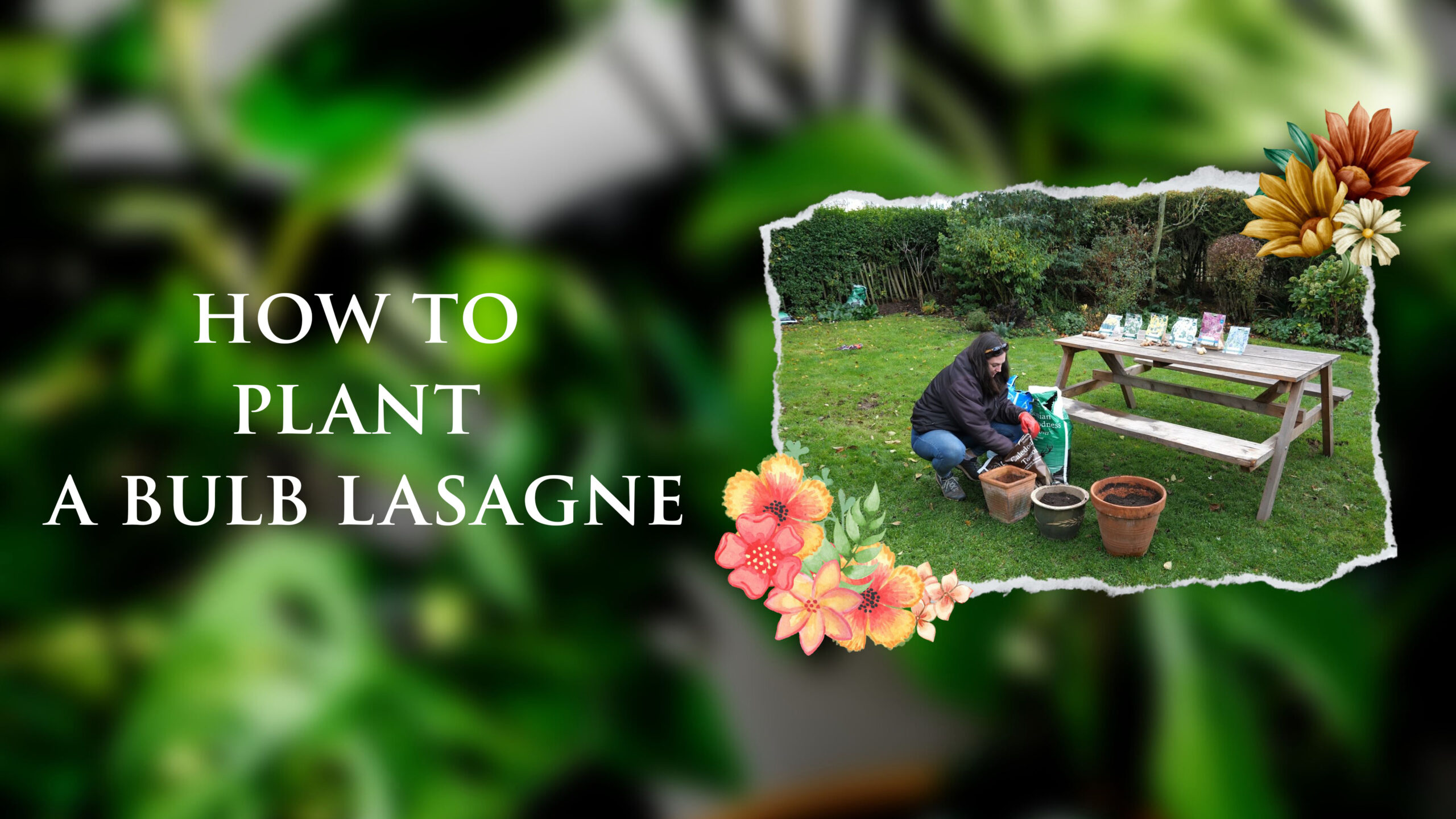 How To Plant A Bulb Lasagne