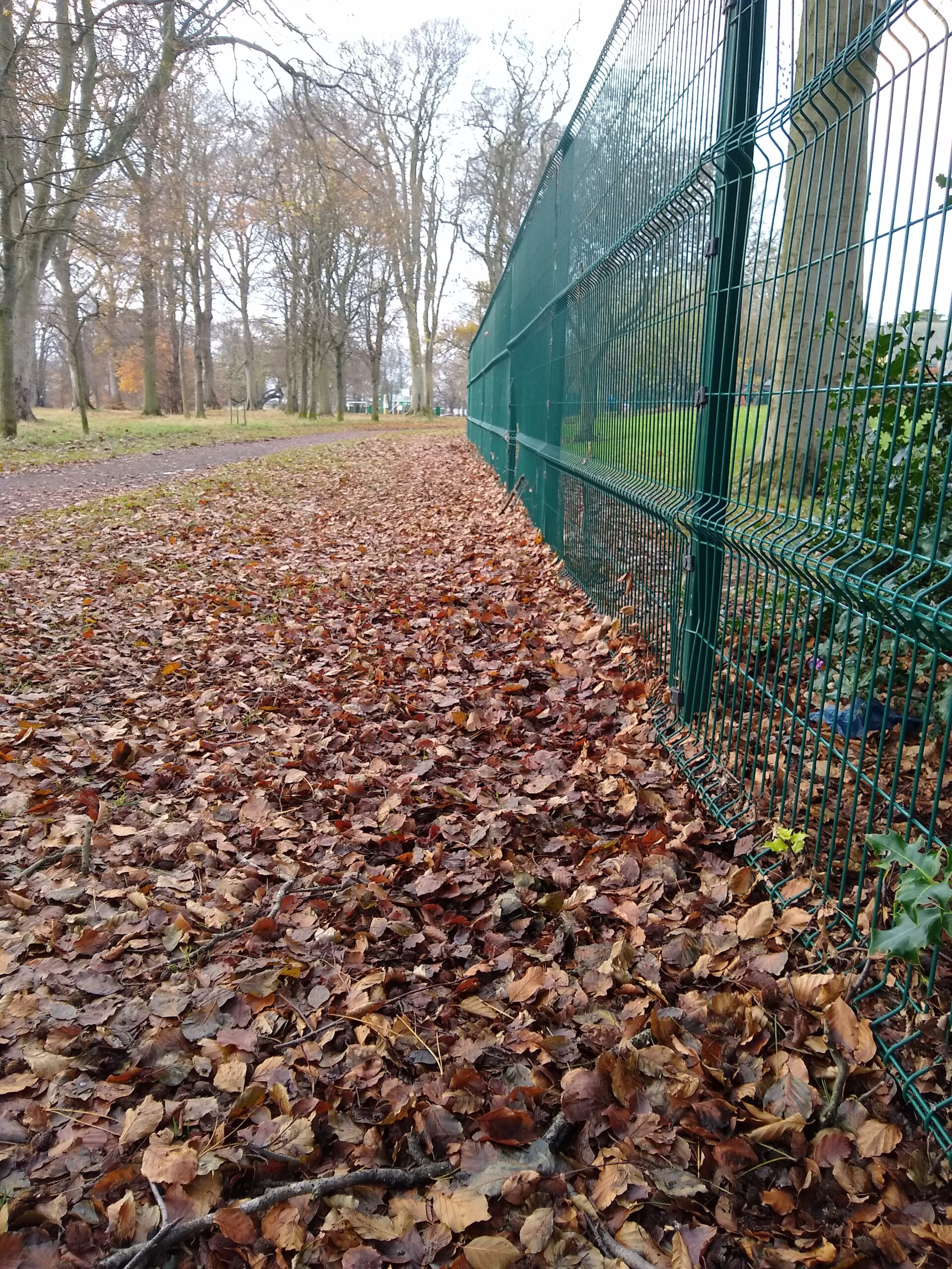How to Make your Own Leaf Mould