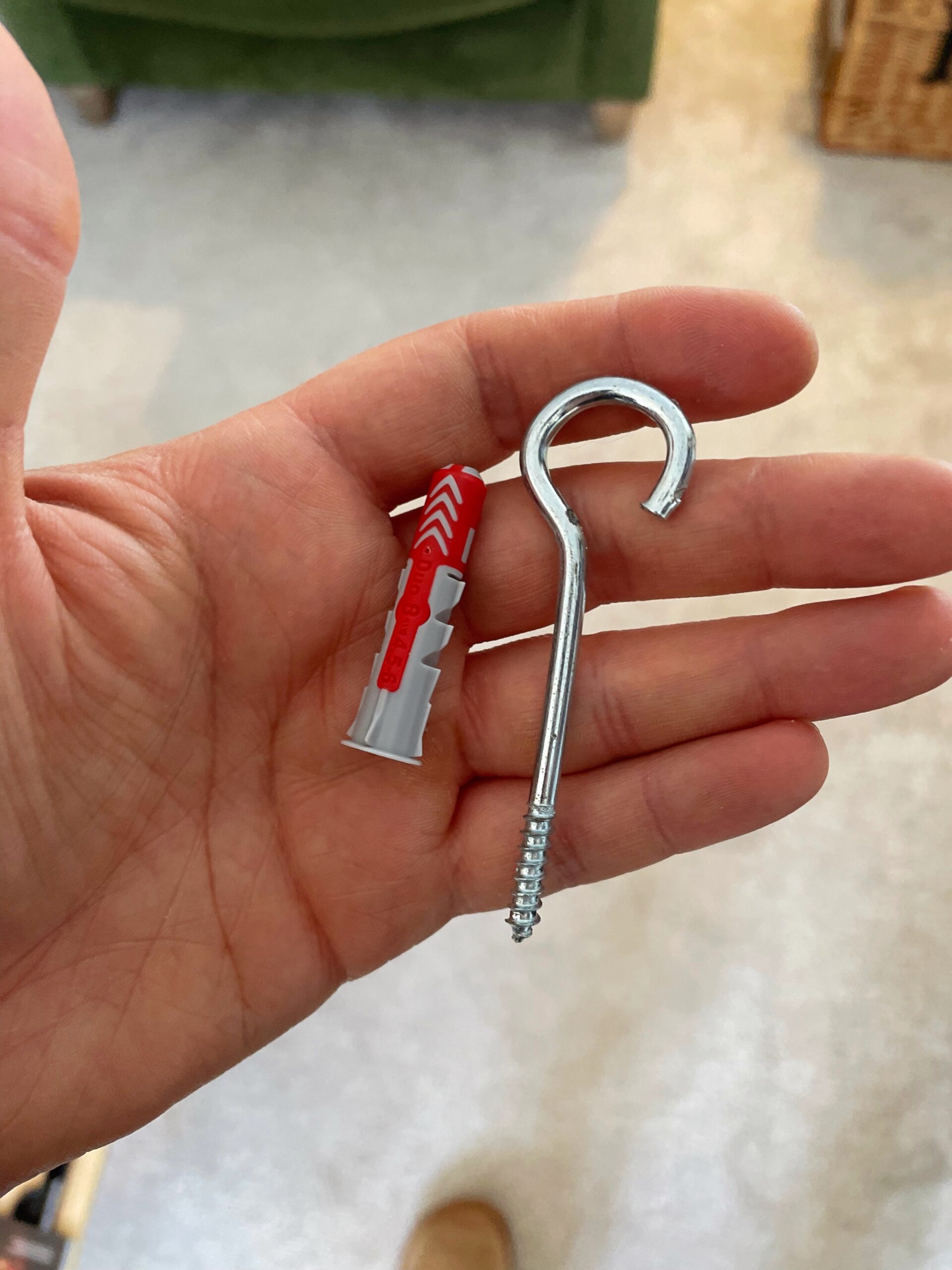 Creating an Indoor Garden