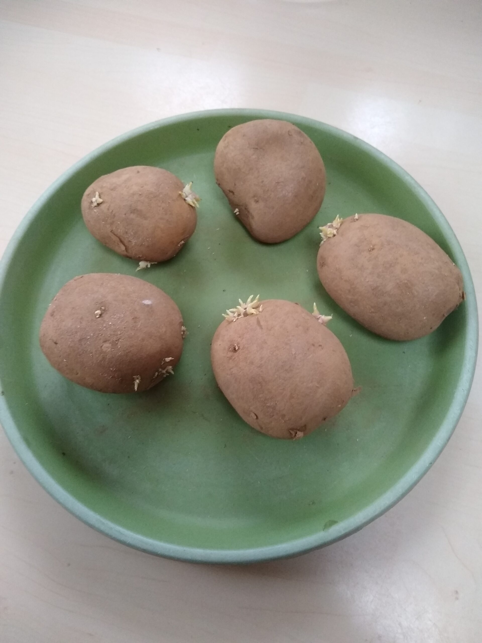 Maximising Your Potato Yield: Tips for Optimal Crop Performance