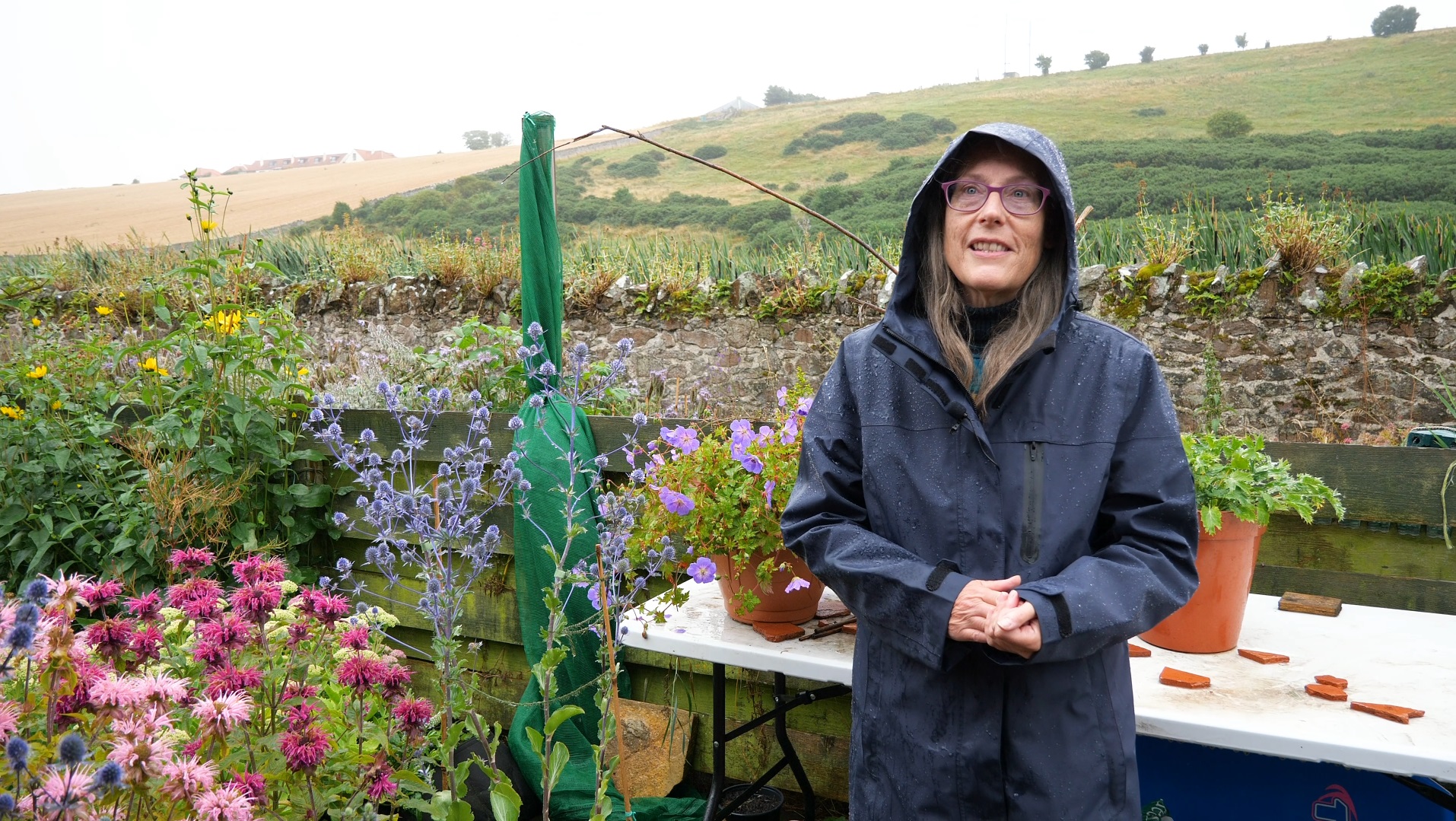Lila Hope: Bee Garden