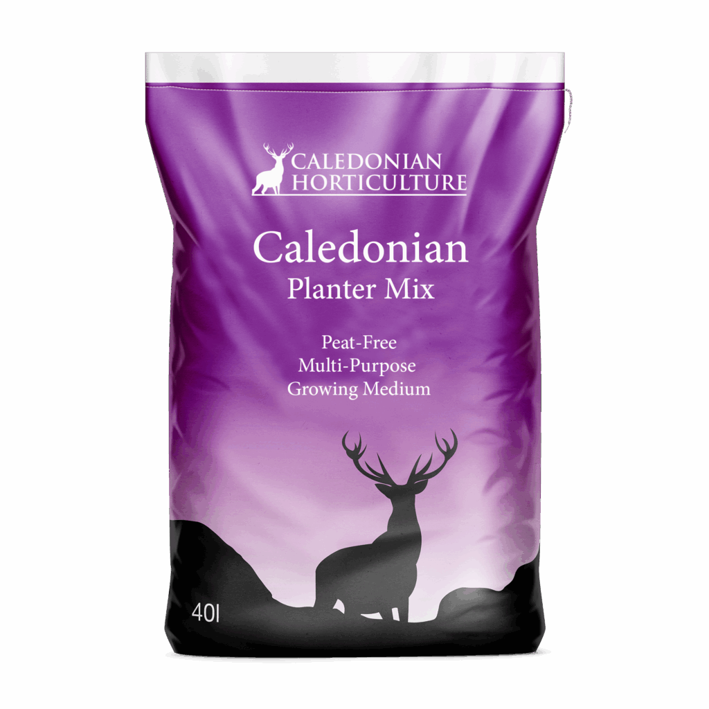 Peat Free Planter Mix Compost 40L | Caledonian Horticulture